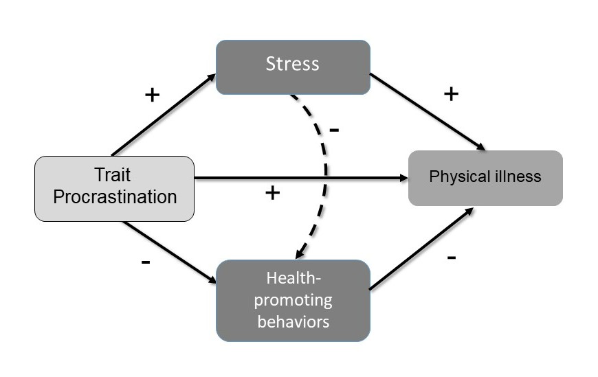 Theories & Models – Fuschia Sirois